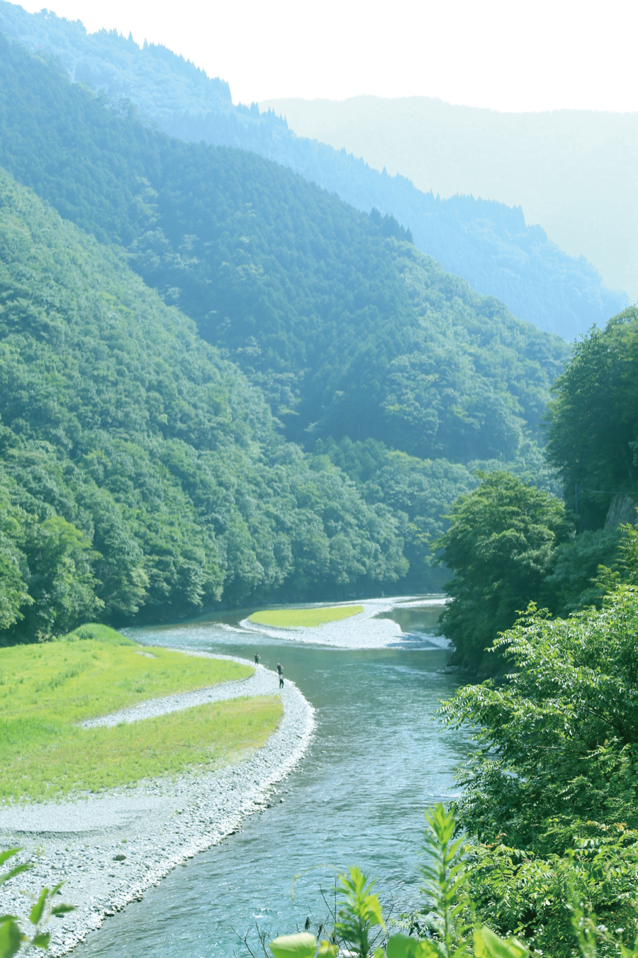 ONLY ONE Shiiba | ONLY ONE Shiiba